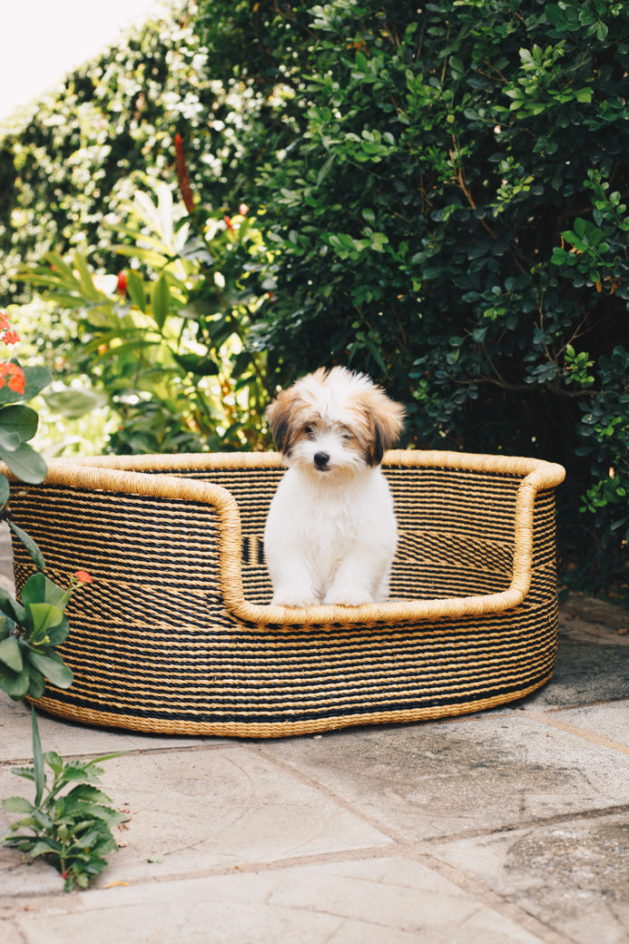 Handwoven Dog Baskets